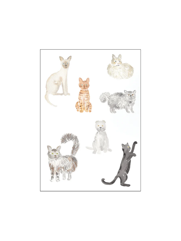 Ellen Walsh Kittens Card – Taylor Francis and Co