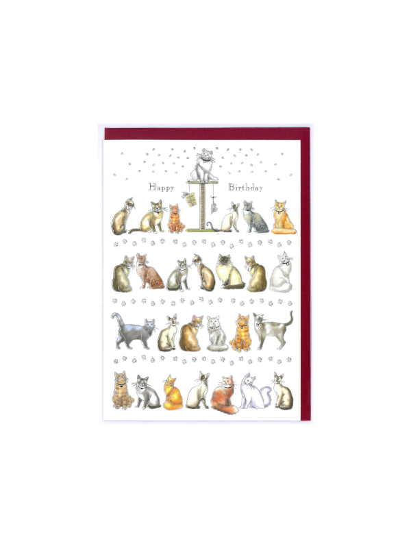Quire Happy Birthday Cats Card – Taylor Francis and Co