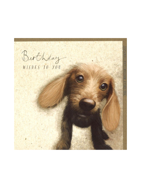 The Great British Card Company Birthday Wishes To You Card – Taylor ...