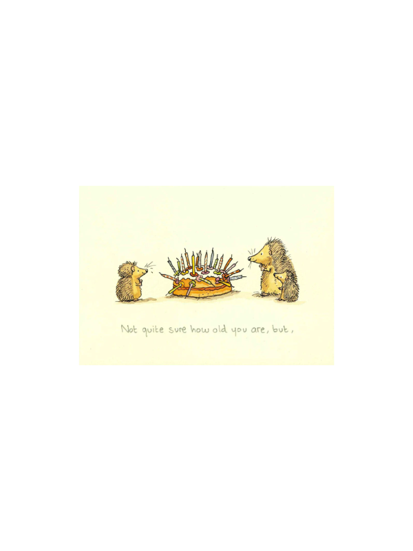 Two Bad Mice Not Quite Sure How Old You Are Card – Taylor Francis and Co